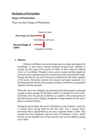 onset and endocrine control of Parturition.docx | Pregnancy ...