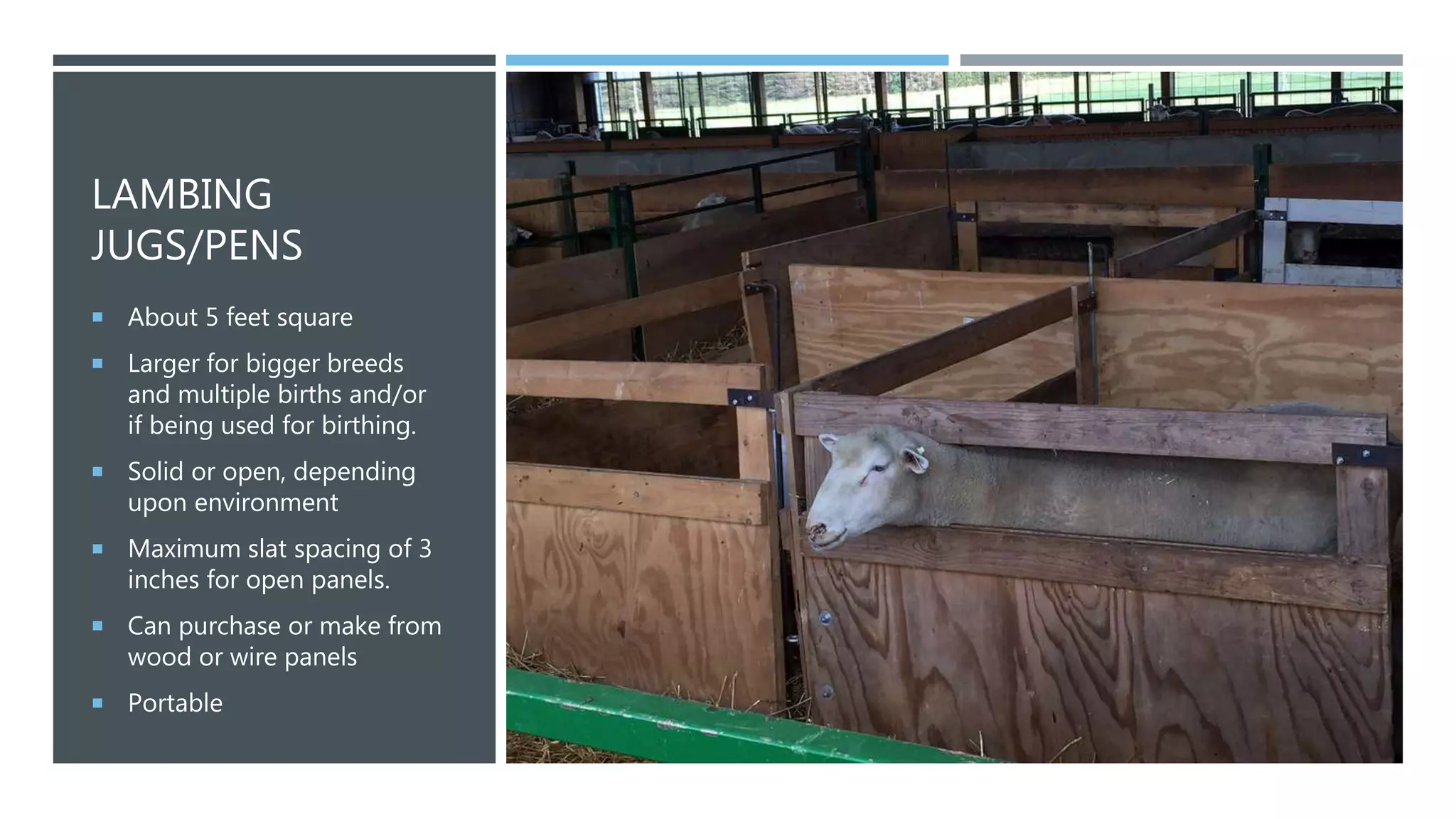 Backyard Farming: Parturition in sheep and goats | PPTX