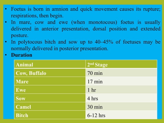 Parturition in domestic animals.pptx | Pregnancy | Reproductive Health