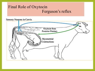 Parturition in domestic animals.pptx