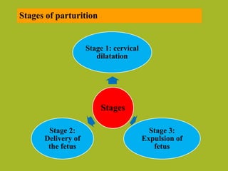 Parturition in domestic animals.pptx