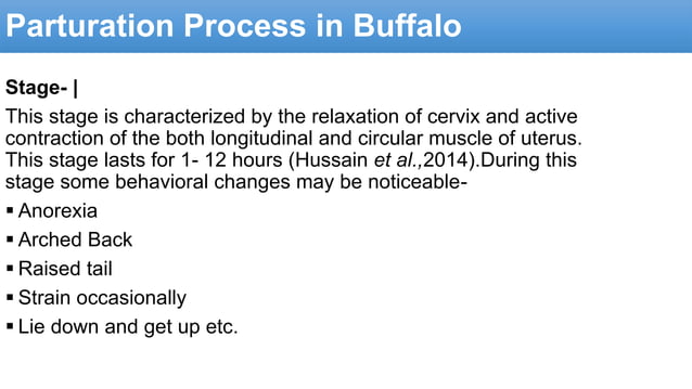Parturition process in mare and buffalo | PPT