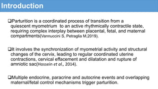 Parturition process in mare and buffalo | PPT