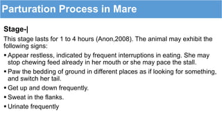 Parturition process in mare and buffalo | PPT