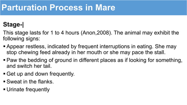 Parturition process in mare and buffalo | PPT