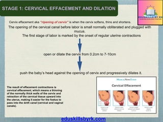 PARTURITION | PPTX