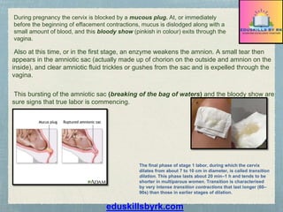 PARTURITION | PPTX