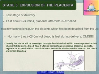 PARTURITION | PPTX | Pregnancy | Reproductive Health