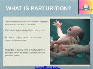 PARTURITION | PPTX | Pregnancy | Reproductive Health
