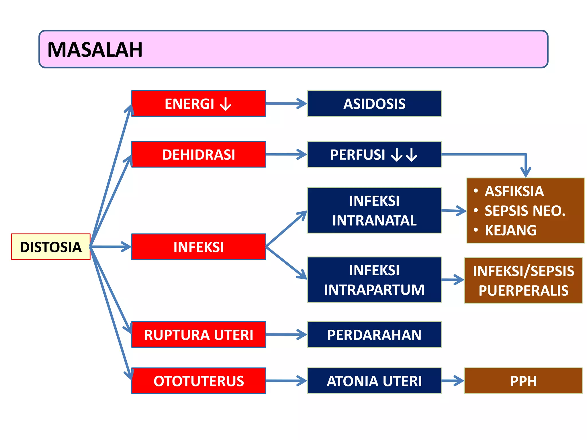 Partus Lama final | PDF