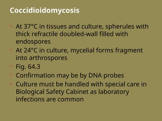Part V - Chapter 64 - Mycology.pptxoiii888888 | PPTX