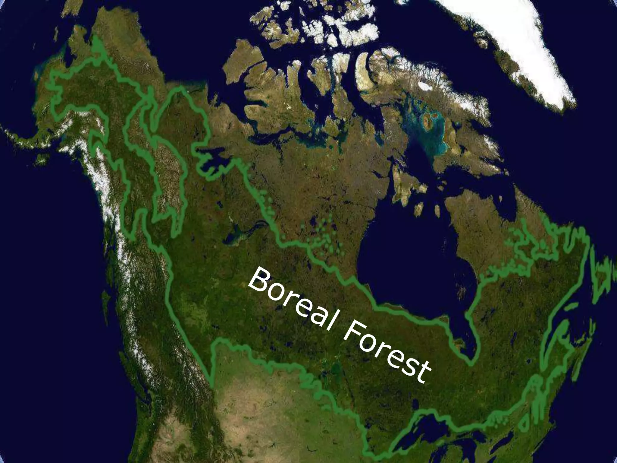 Biomes, Weather and Climate Unit, Earth and Life Science Lesson ...