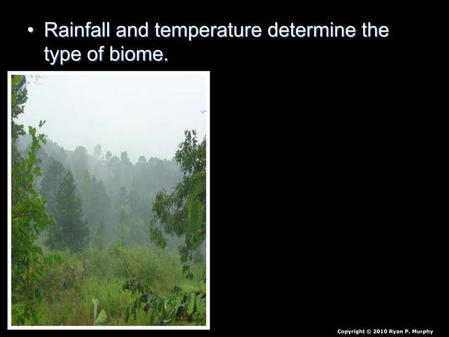 Biomes, Weather and Climate Unit, Earth and Life Science Lesson ...