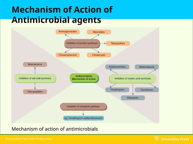 Part VI - Chapter 67 - Laboratory Control of Antimicrobial therapy.pptx