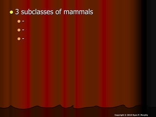 Mammals Lesson Biology PowerPoint, Class Mammalia, Taxonomy and ...