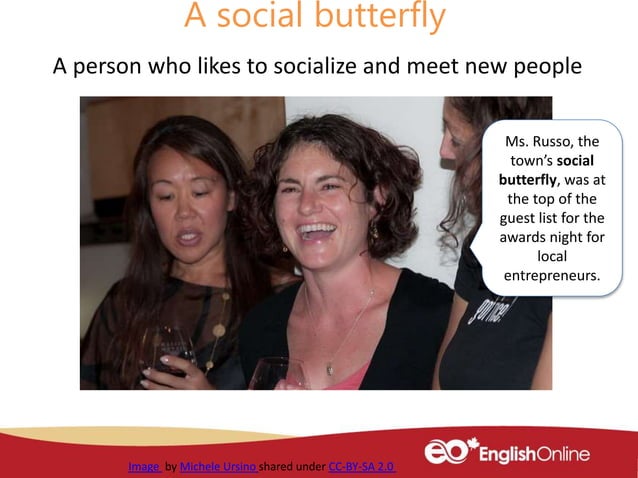 Party idioms | PPT