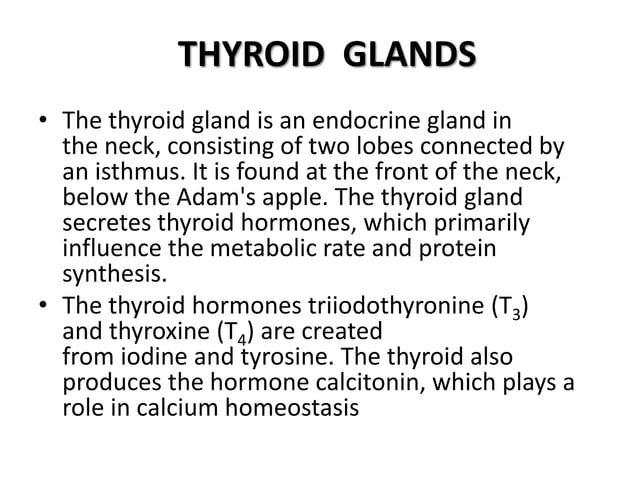 NORMAL STRUCTURE OF THYROID GLANDS | PPT