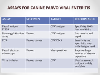 Parvo viral infection | PPTX | Infectious Diseases | Diseases and ...