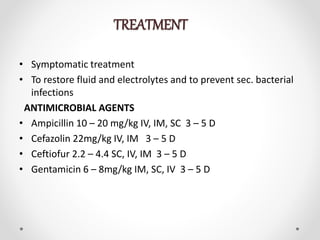 Parvo viral infection | PPTX