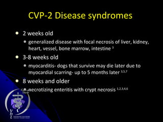 Parvoviral myocarditis in puppies | PPT