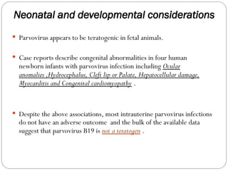 Detailed notes on the topic PARVOVIRIDAE.ppt