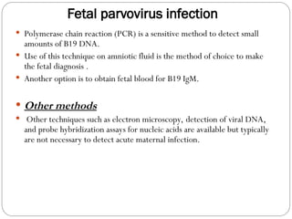 Detailed notes on the topic PARVOVIRIDAE.ppt
