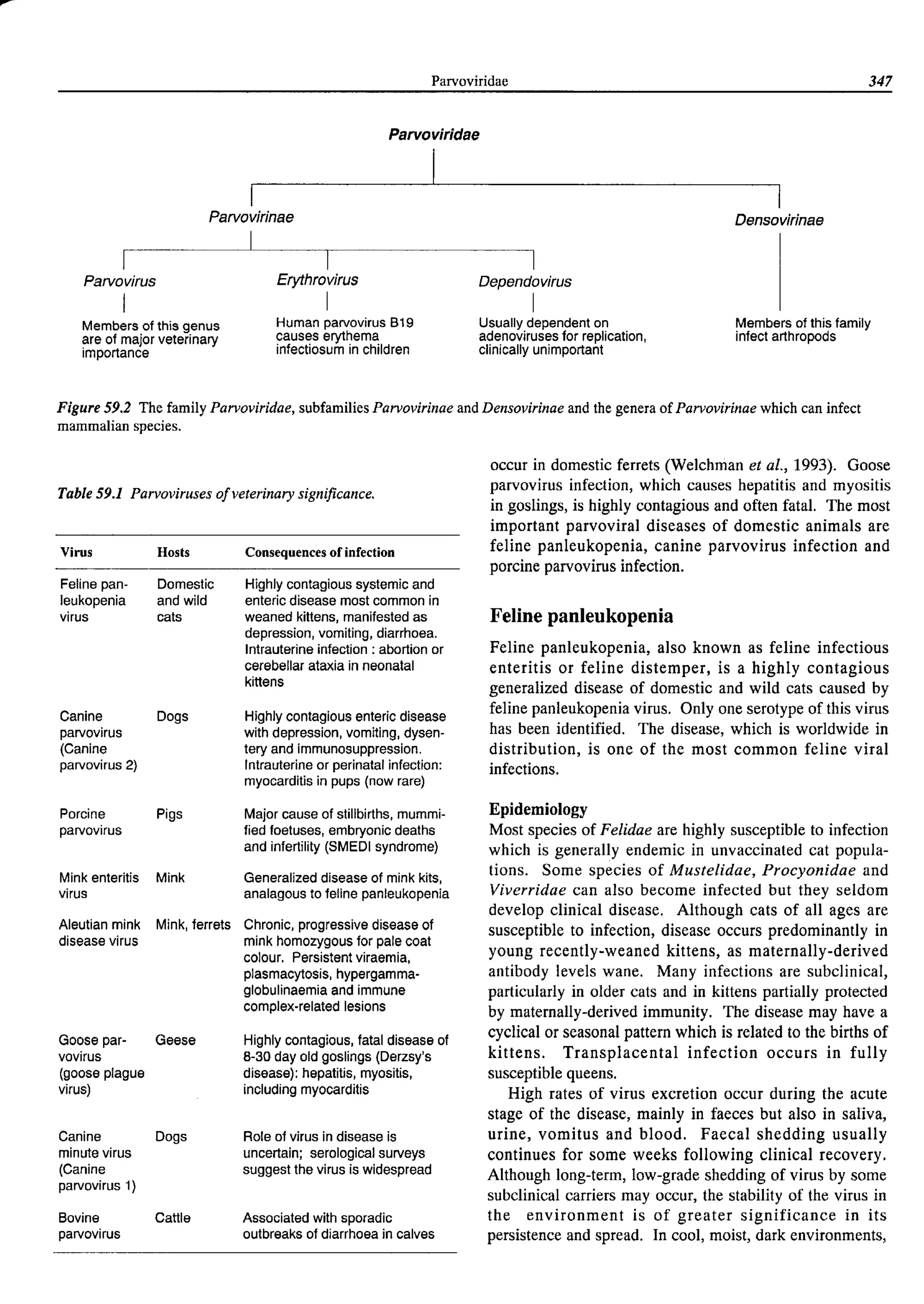 Parvoviridae (P.J.Quin).pdf