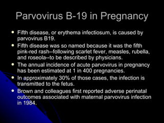 Parvovirus | PPT