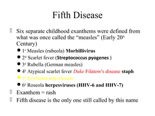 Parvovirus b19 | PPT