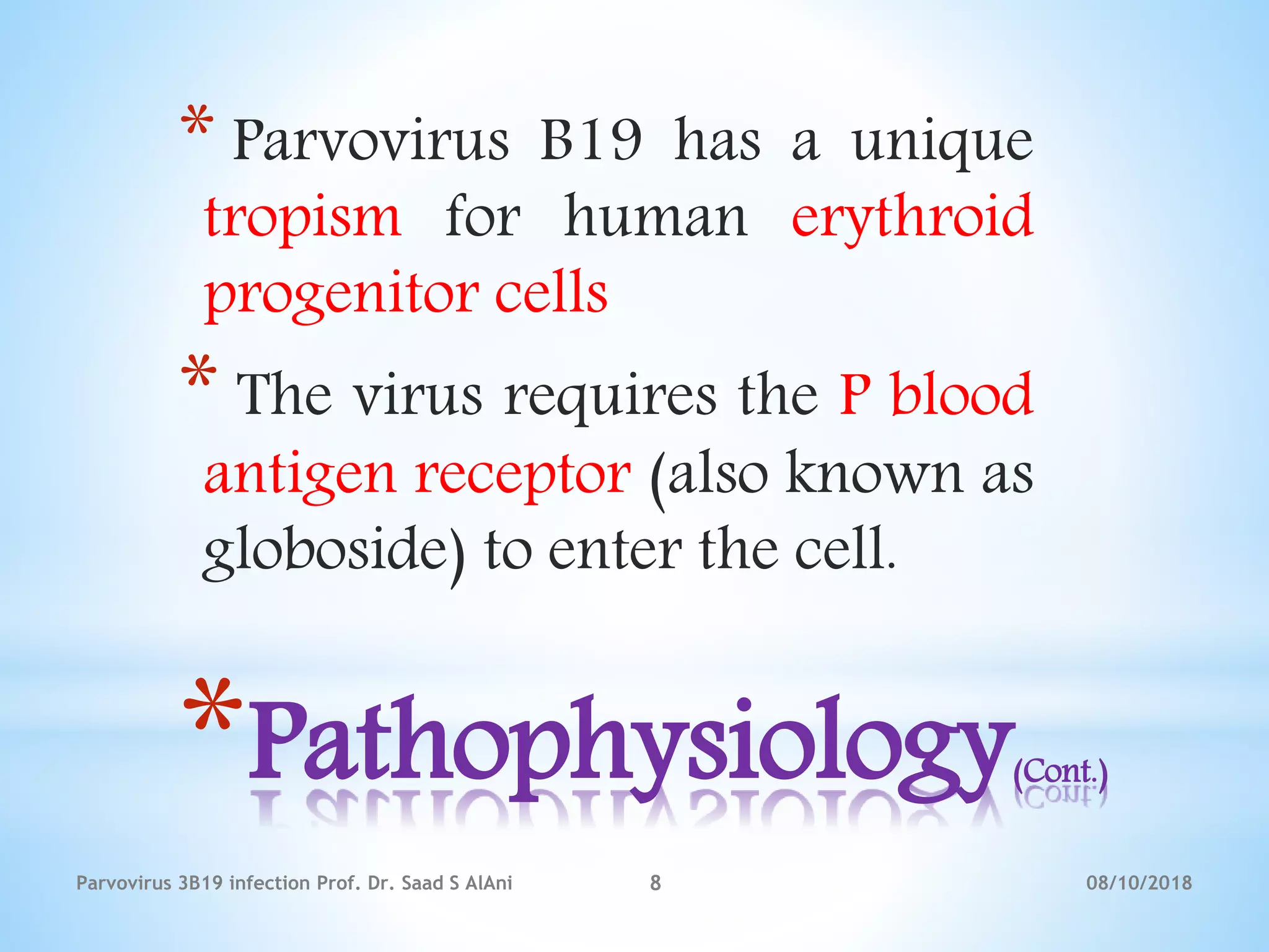 Parvovirus b19 infection | PPTX