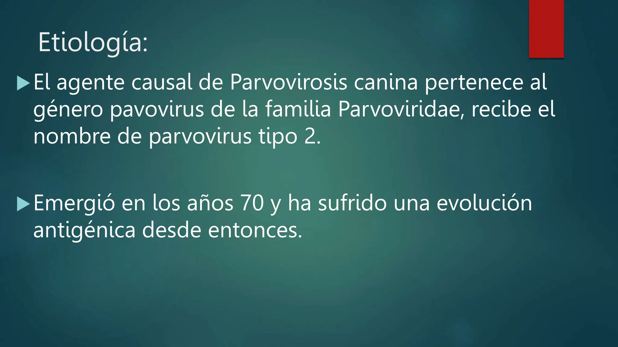 Parvovirus Canino. enfermedad en caninos | PPTX