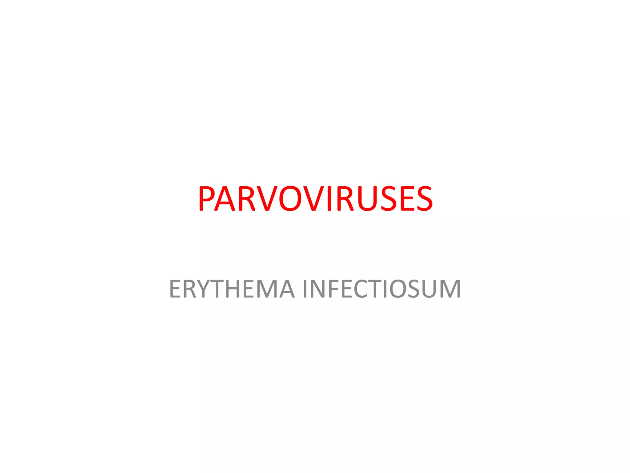 Parvoviruses | PPT