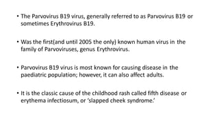 Parvoviruses | PPTX