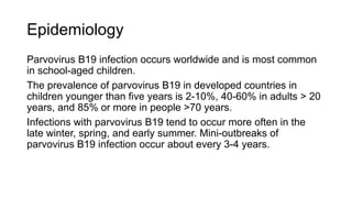 Parvovirus Infection.presentation for pediatric patients | PPTX