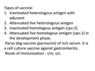 Parvo virus infection in dog - preventive medicine | PPTX