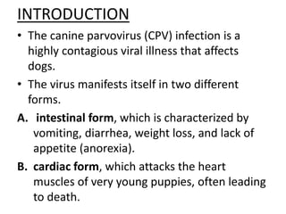 Parvo virus infection in dog - preventive medicine | PPTX