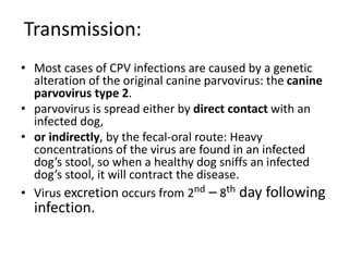 Parvo virus infection in dog - preventive medicine | PPTX