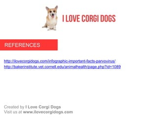 Important facts about Canine Parvovirus | PPTX