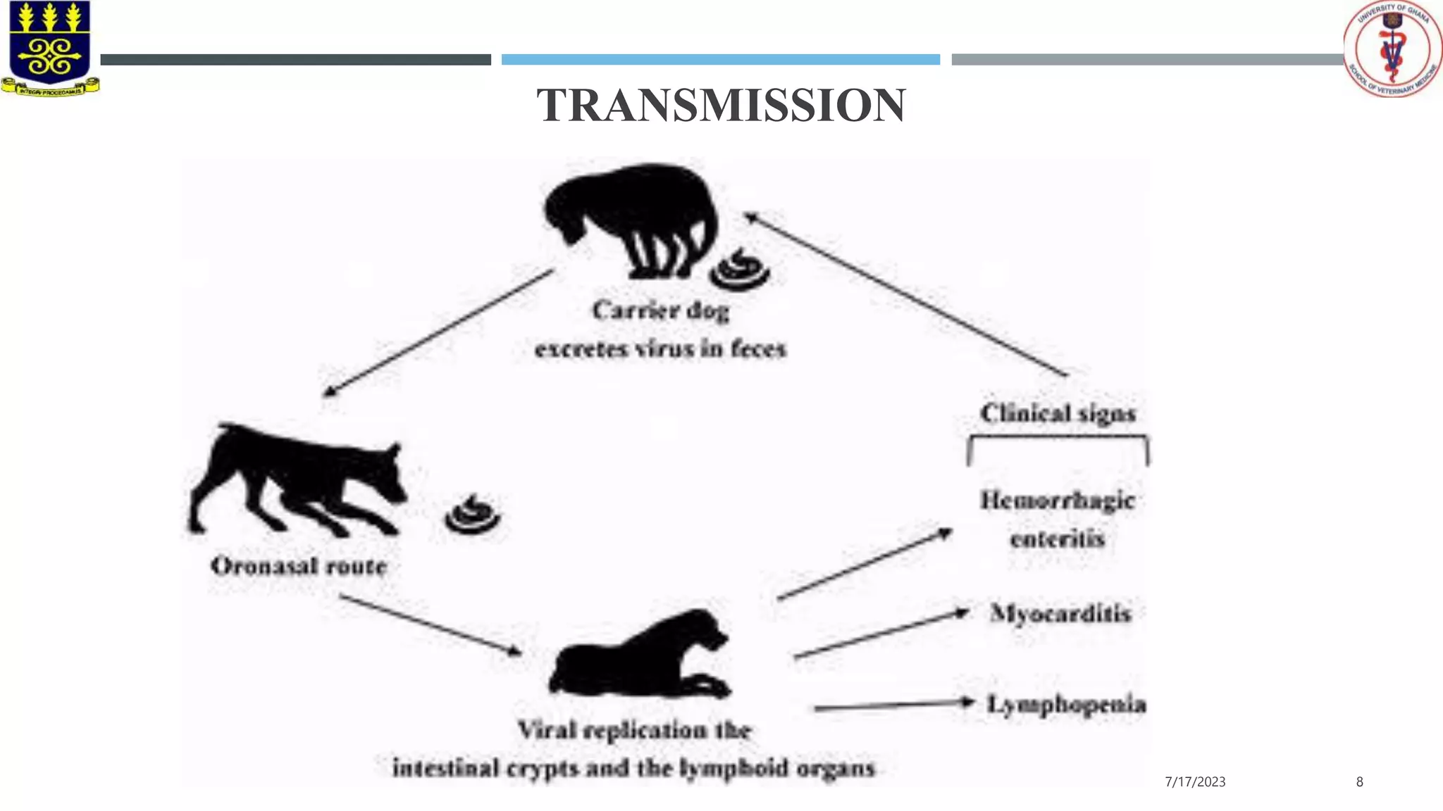 PARVO VIRUS PRESENTATION.pptx | Infectious Diseases | Diseases and ...