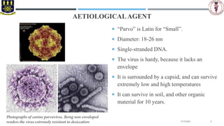 PARVO VIRUS PRESENTATION.pptx | Infectious Diseases | Diseases and ...