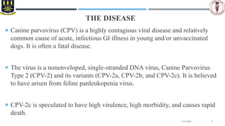 PARVO VIRUS PRESENTATION.pptx