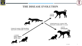 PARVO VIRUS PRESENTATION.pptx