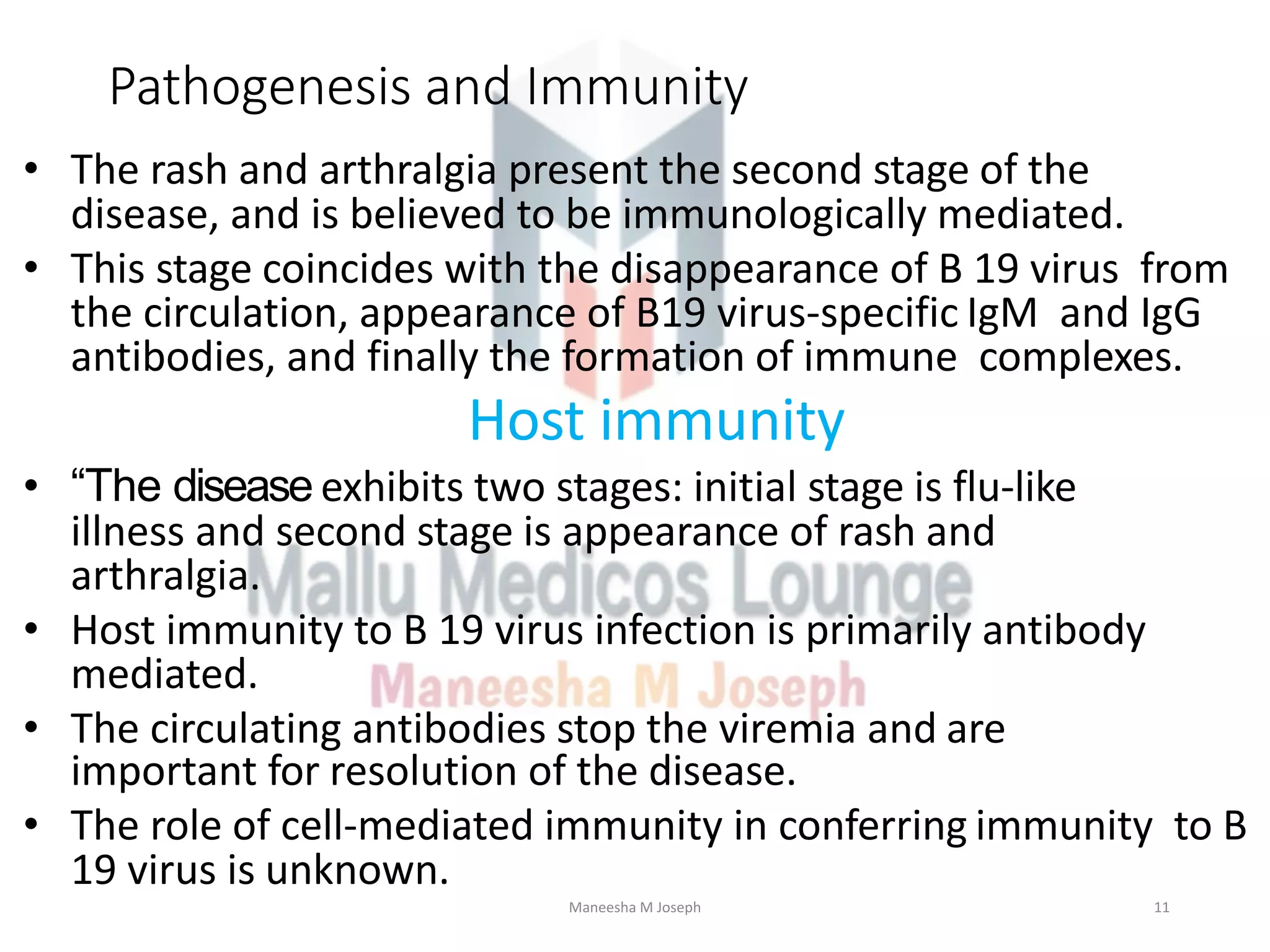 Parvovirus | PDF