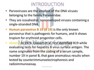Parvovirus | PDF