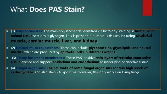 Pas staining
