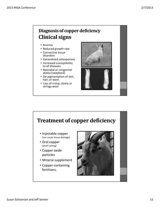 Copper | PDF