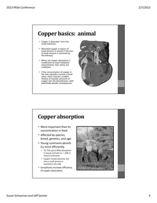 Copper | PDF
