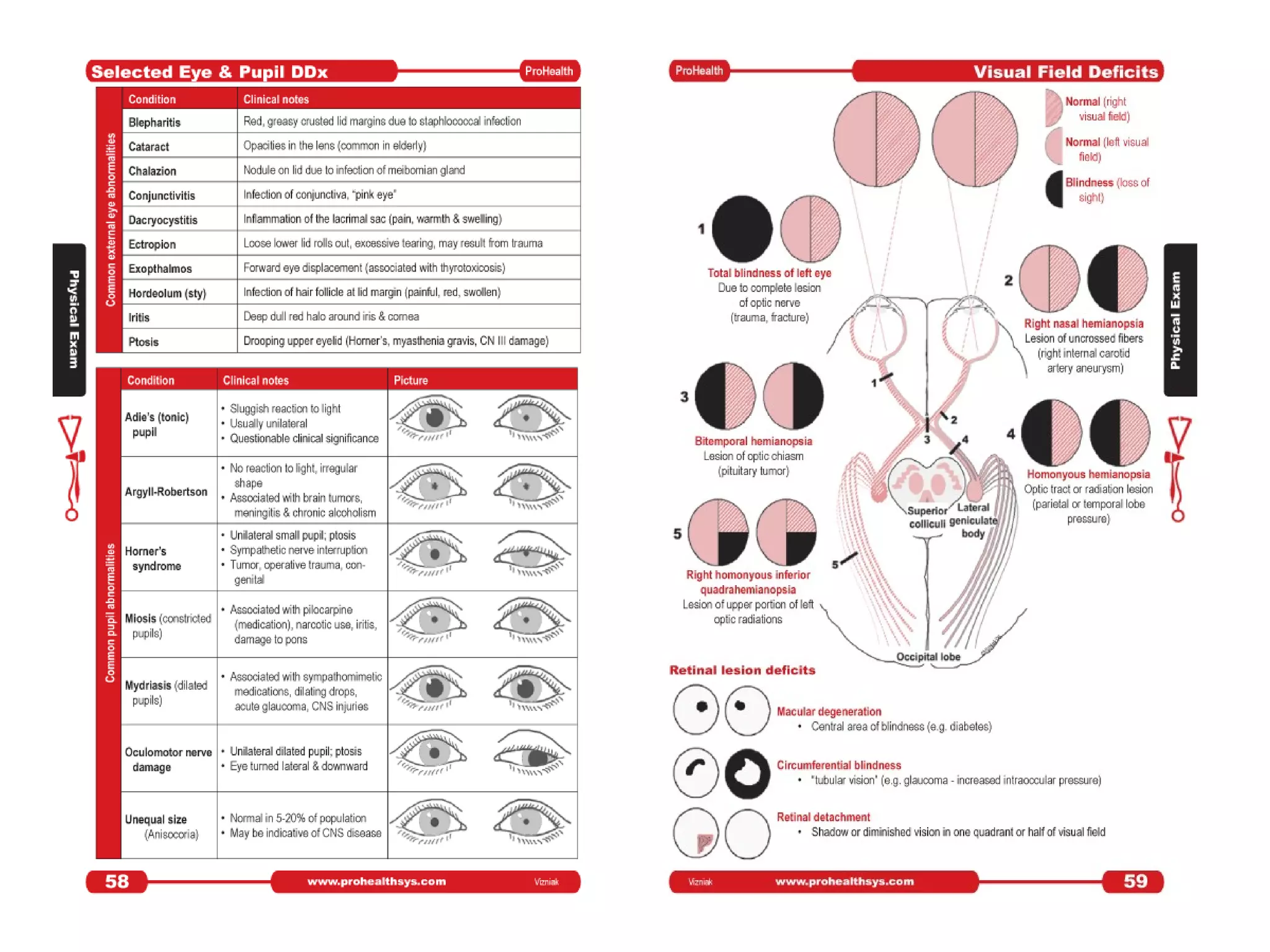 Physical Assessment | PPS