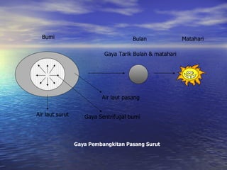 Pasang surut-pasut-1211899078541735-9 (1) | PPT