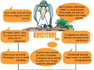 Pasaricalatoare | PPT